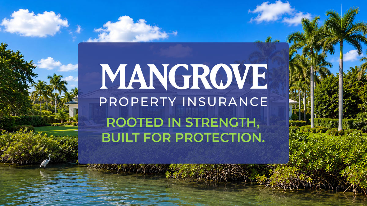 Contact Us - Mangrove Property Insurance
